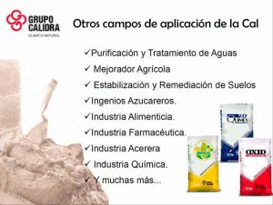 Apunte de La Cal en la Construcción PDF - Arquinube